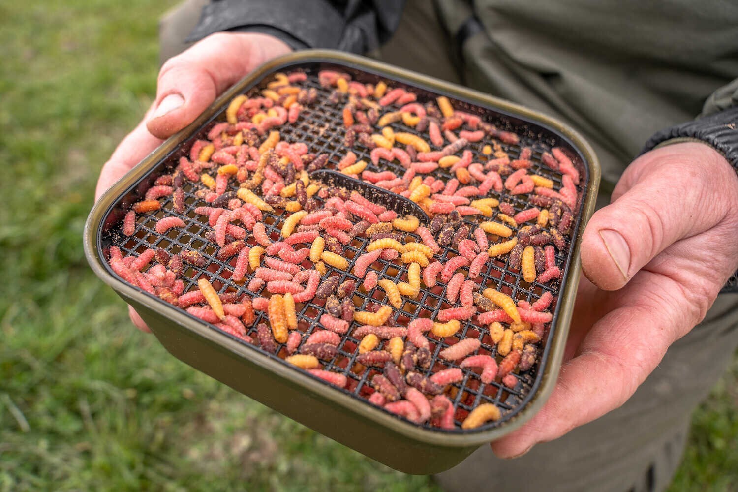 Korum Maggot Tub And Riddle 2Pt/1.2L Coarse Fishing Bait Luggage Box ...