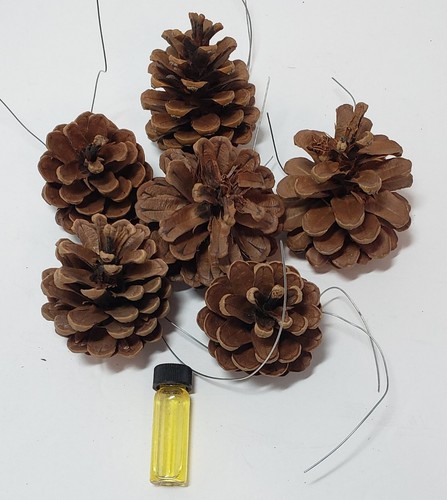 Christmas Tree Fragrance Kit Pinecones Liquid Balsam Scent Vintage 1980s Canada | eBay