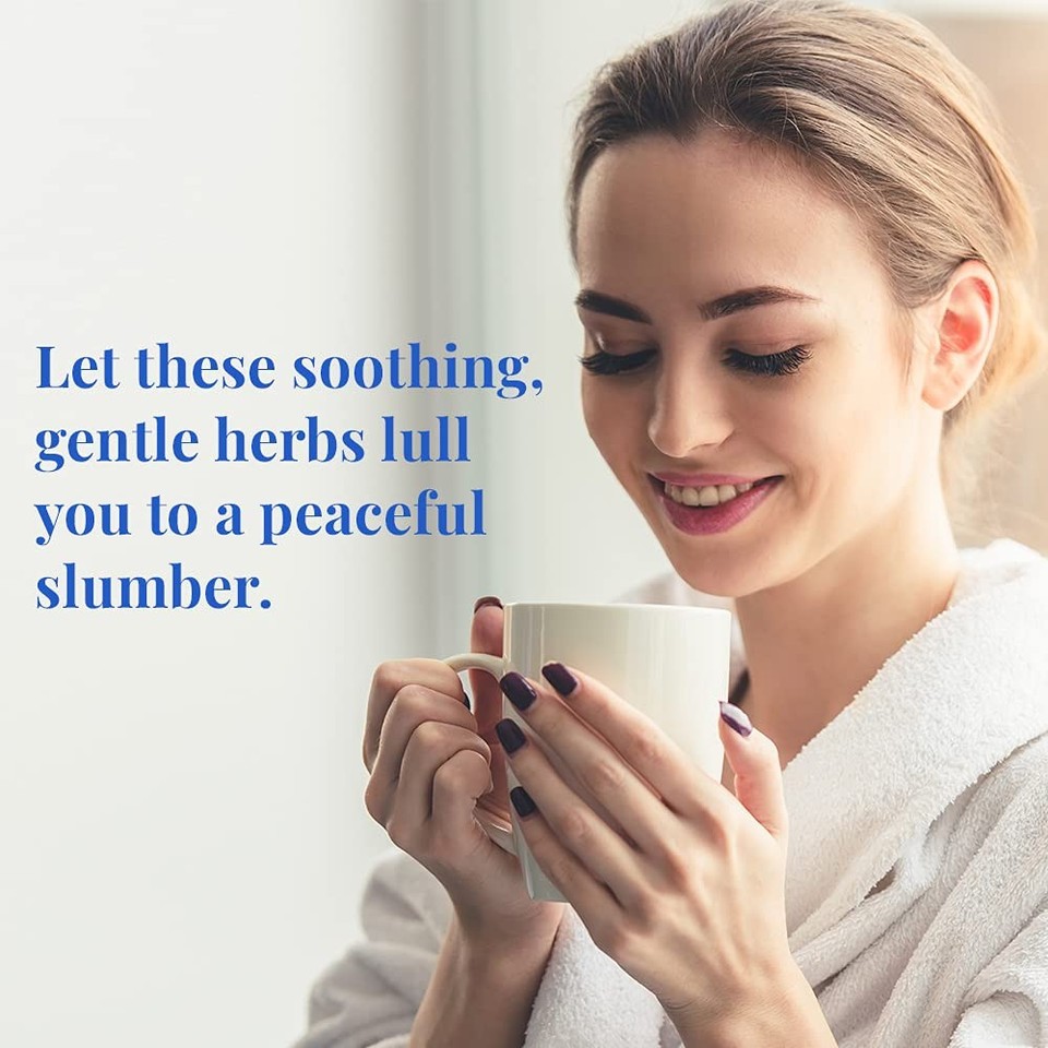 The Republic of Tea - Get Some Zzz’s – No. 5 Herb 36 Count (Pack 1) | eBay