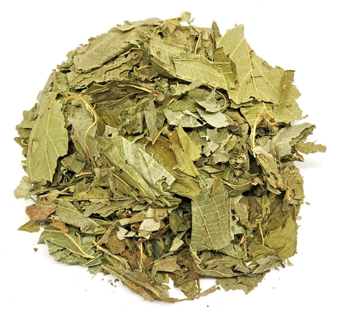 Matico Tea Herbal Infusion (90g) Hierba Del Soldado Herb | eBay
