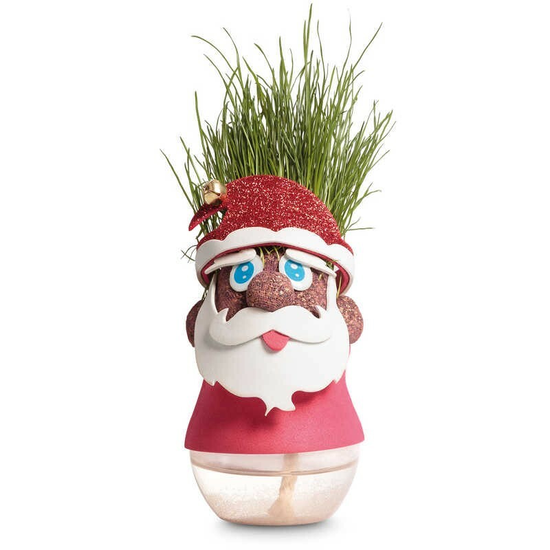 Grow Your Own GRASSHEAD Kids Grass Head Christmas Gift Stocking Filler ...