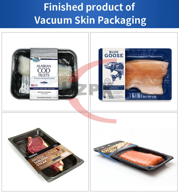 Vacuum Skin Packaging Machine (VSP) Tray Meat Skin Film Sealing Machine ...