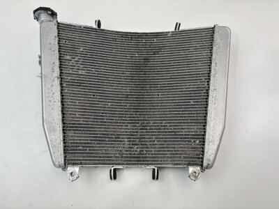 Radiator Aprilia RSV4 1000 Tuono V4 1100 09-18 2B0038346 | eBay