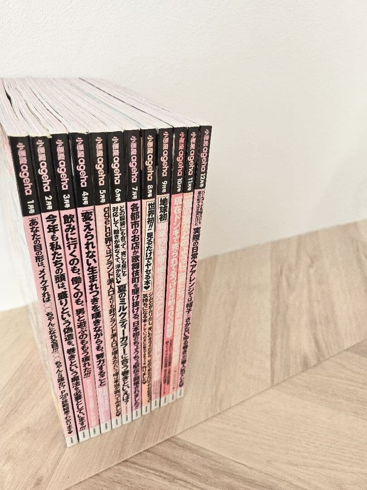 Koakuma Ageha January to December 2010 bundle lot bulk book set ...