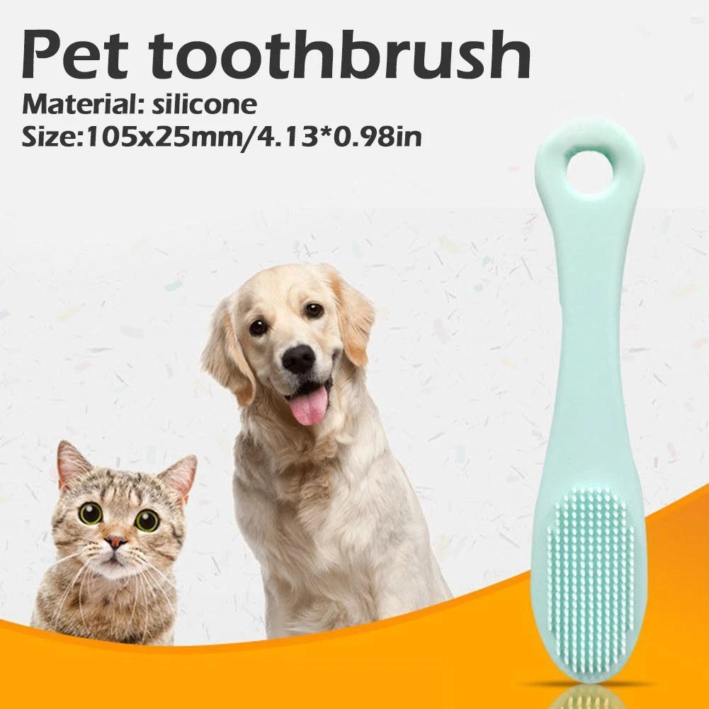Dog And Cat Brushing Teeth