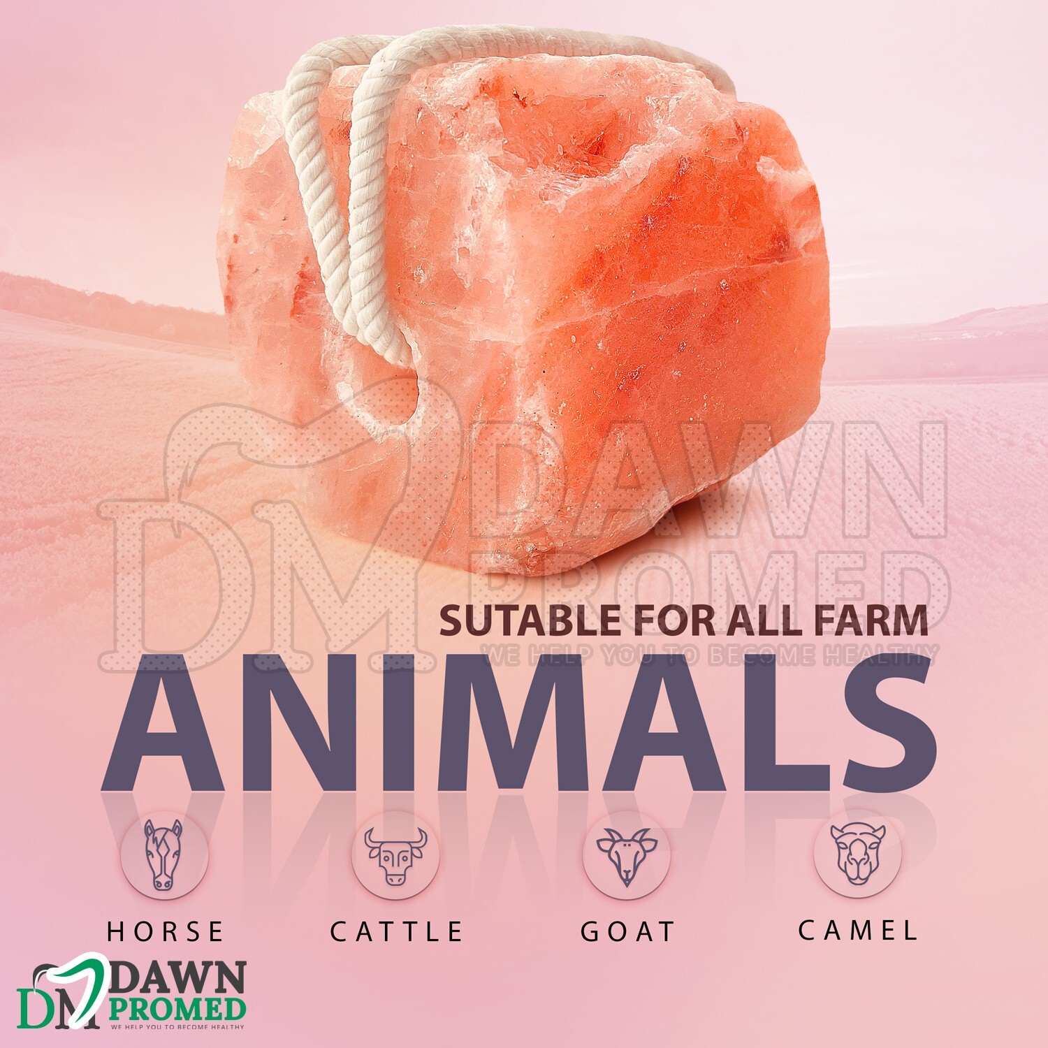 8 Pcs Himalayan Nature 100% Natural Salt Lick Block for Animal Wellness ...