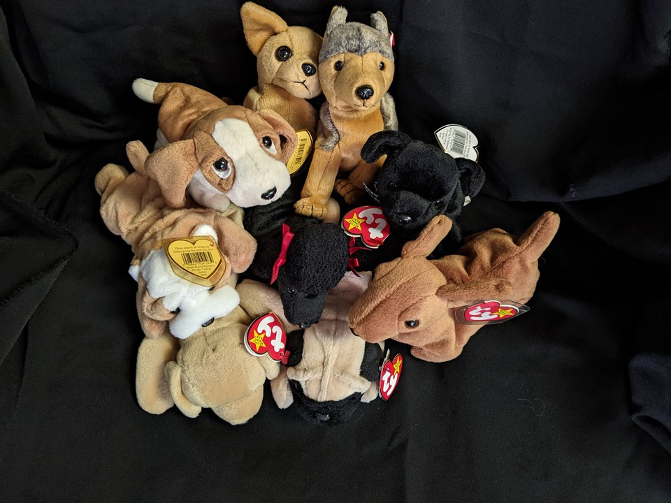 TY Beanie Baby DOGS (Lot of 9) | eBay