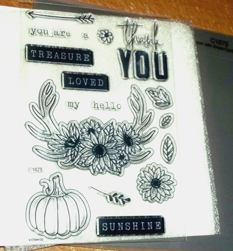 CTMH C1873 BLOOM WITH GRACE ~ SUNFLOWERS, you are a TREASURE, Fall ...