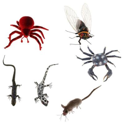 Insect magnet, collecting magnet, fridge magnet theme party, magnet bow ...