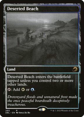 MTG Magic the Gathering Deserted Beach (260/633) Innistrad Double ...