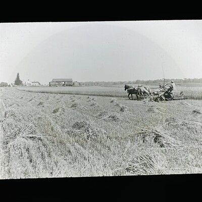 Vtg Magic Lantern Glass Slide Photo Seneca Castle New York Farmer ...