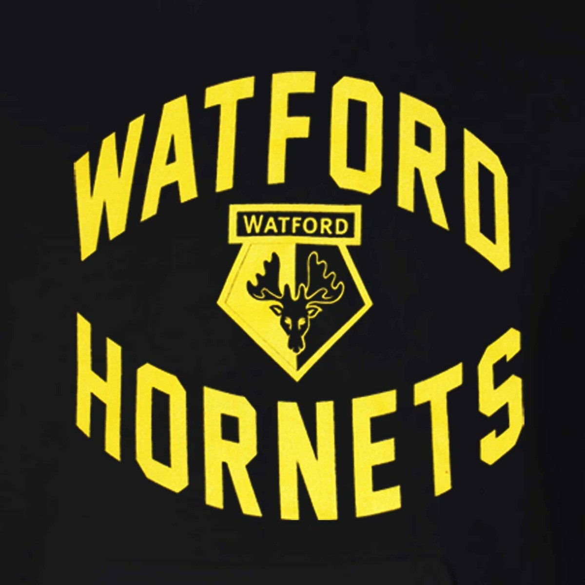Watford Football Club Logo Watford Football Club | Founded In 1881,