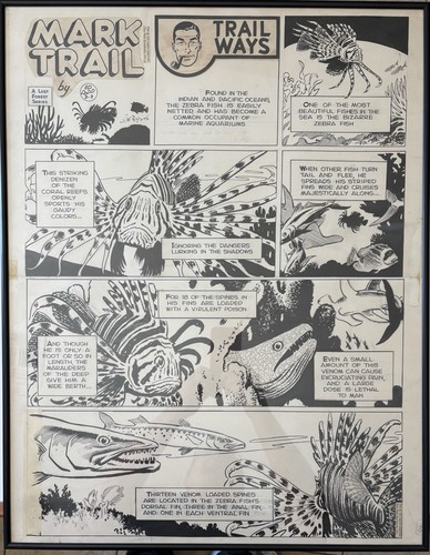Ed Dodd Mark Trail Sunday Comic Strip Original Art dated 3-3 | eBay