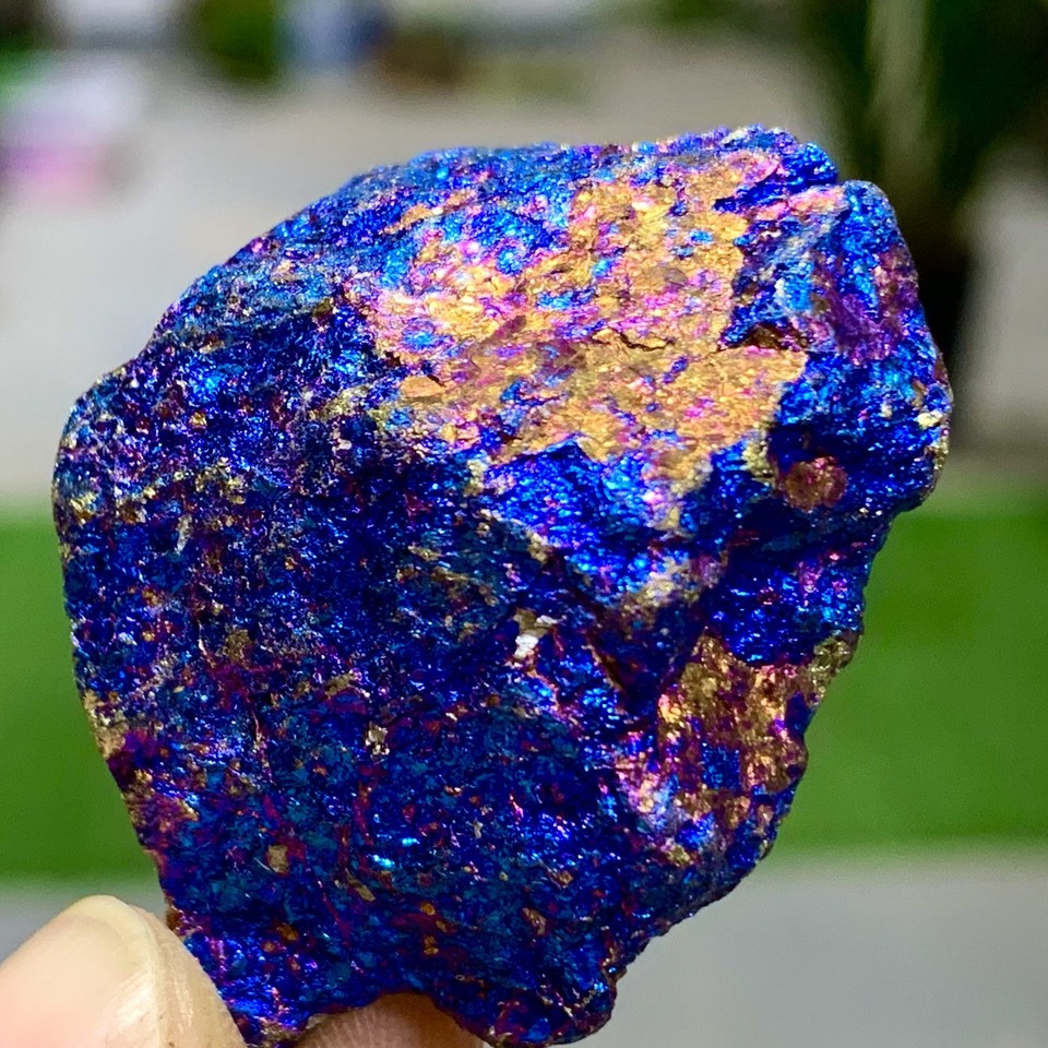 31G Rare Natural Beautiful Colorful Bornite Raw Mineral Specimen ...