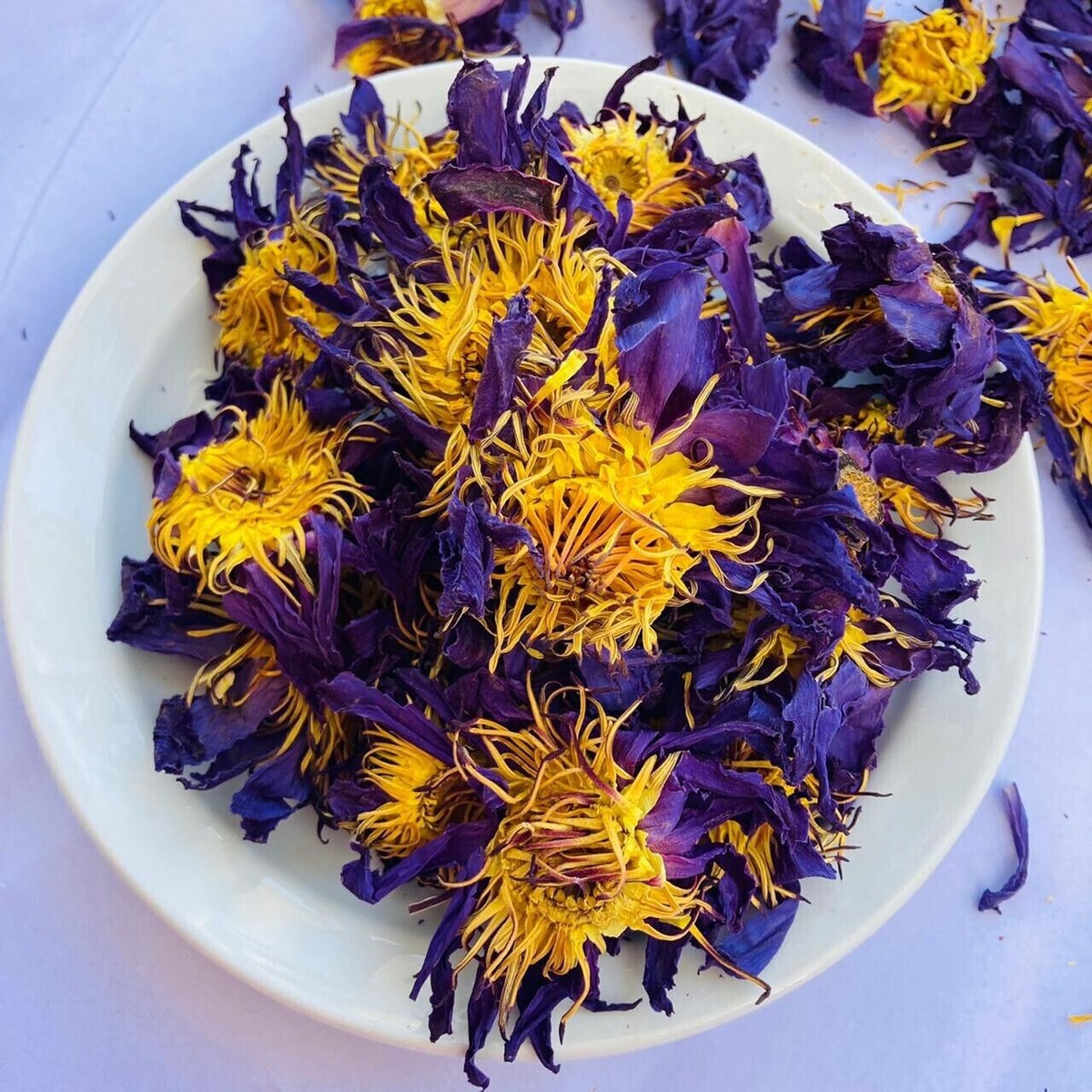 19+ Blue Lotus Flower Pre Rolls - HardeepWren