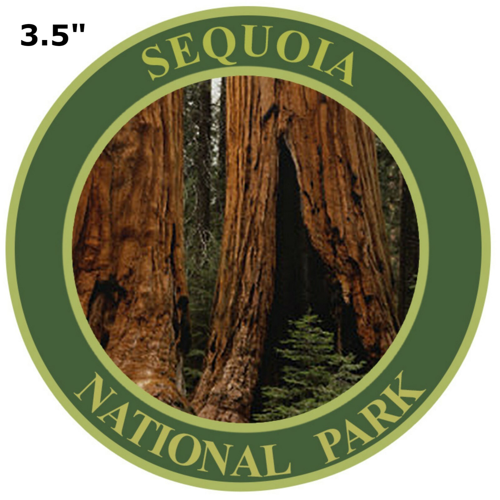 Sequoia National Park Travel Patch Embroidered Iron-On Applique Nature ...