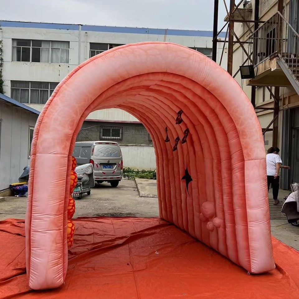 Outdoor Inflatable Colon Tunnel Medical Inflatable Human Colon Model ...