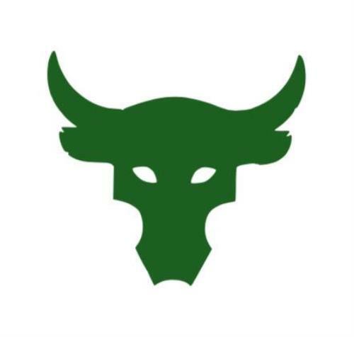 Project Rock Bull -Decal Logo Sticker | eBay