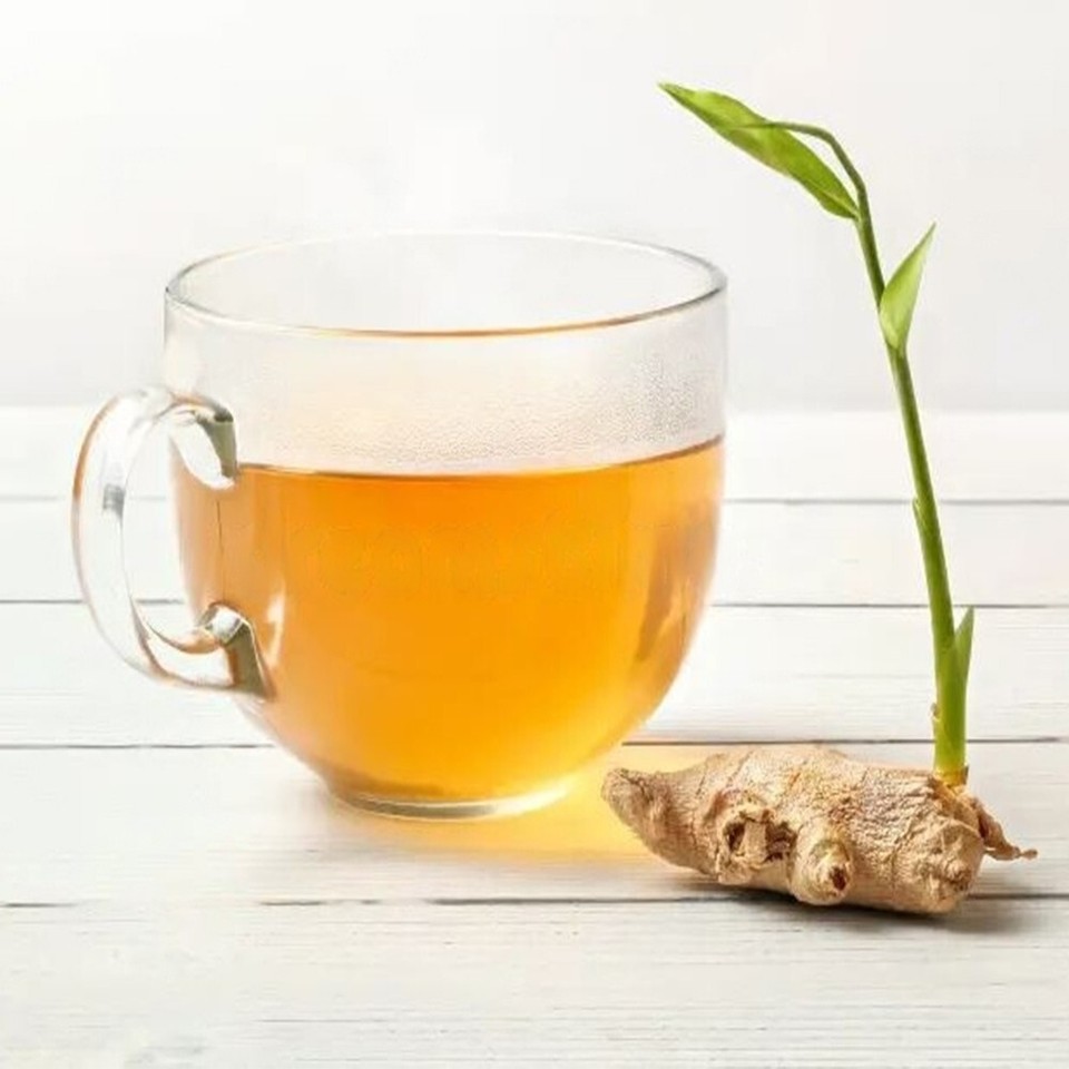 10 Sprouted Ginger live rhizomes Ready To Plant zingiber Healthy plant ...