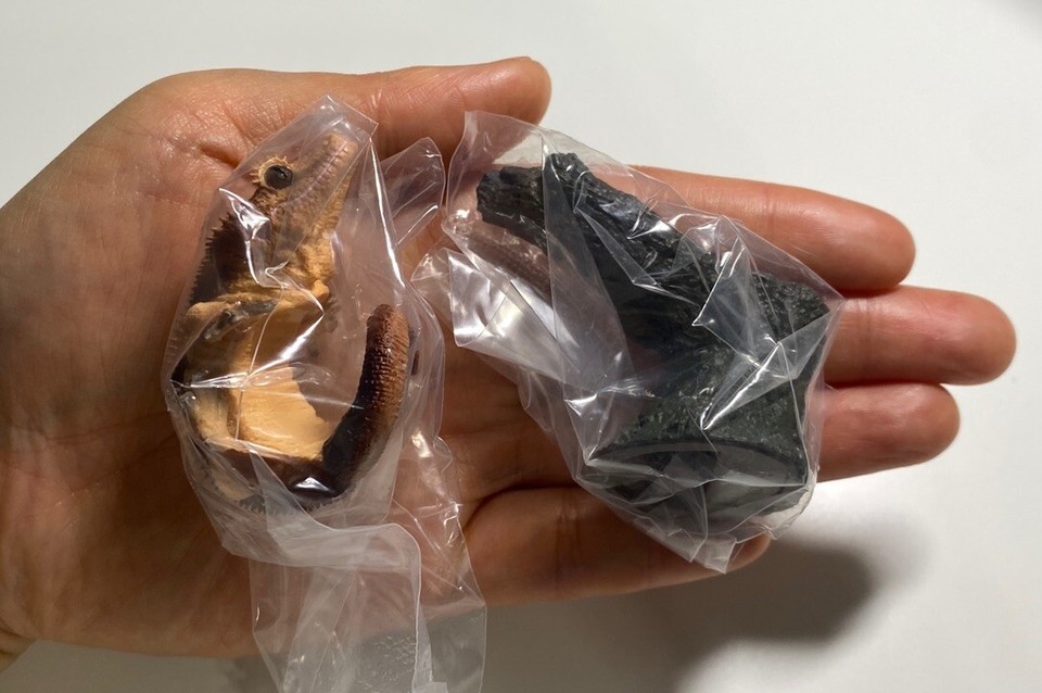 Japan Exclusive Bandai Namco Finger Rolling Crested Gecko Lizard Figure ...