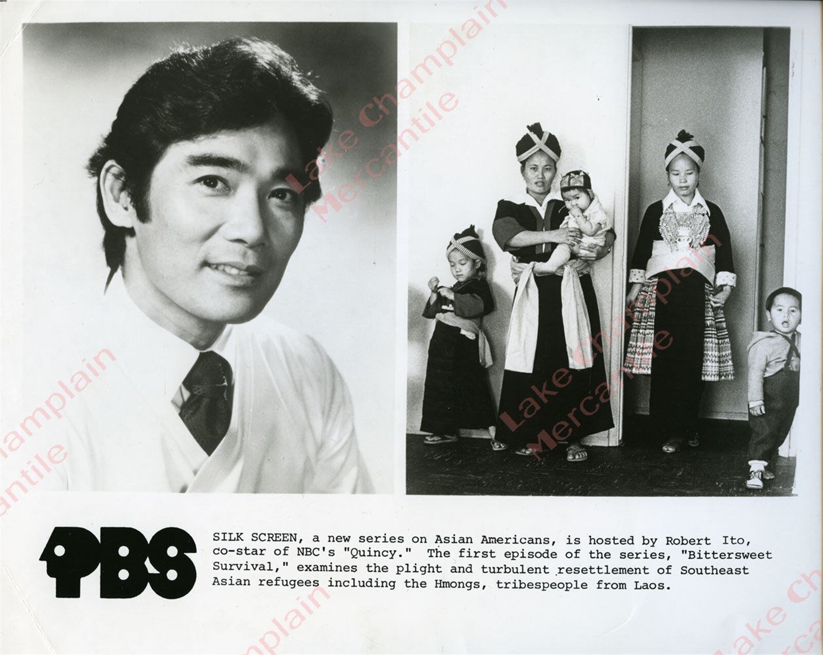 QUINCY M.E. Press Photo 8X10 ROBERT ITO Asian Americans PBS Special ...