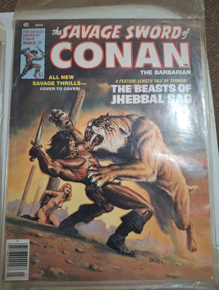 The Savage Sword of Conan magazine lot | eBay