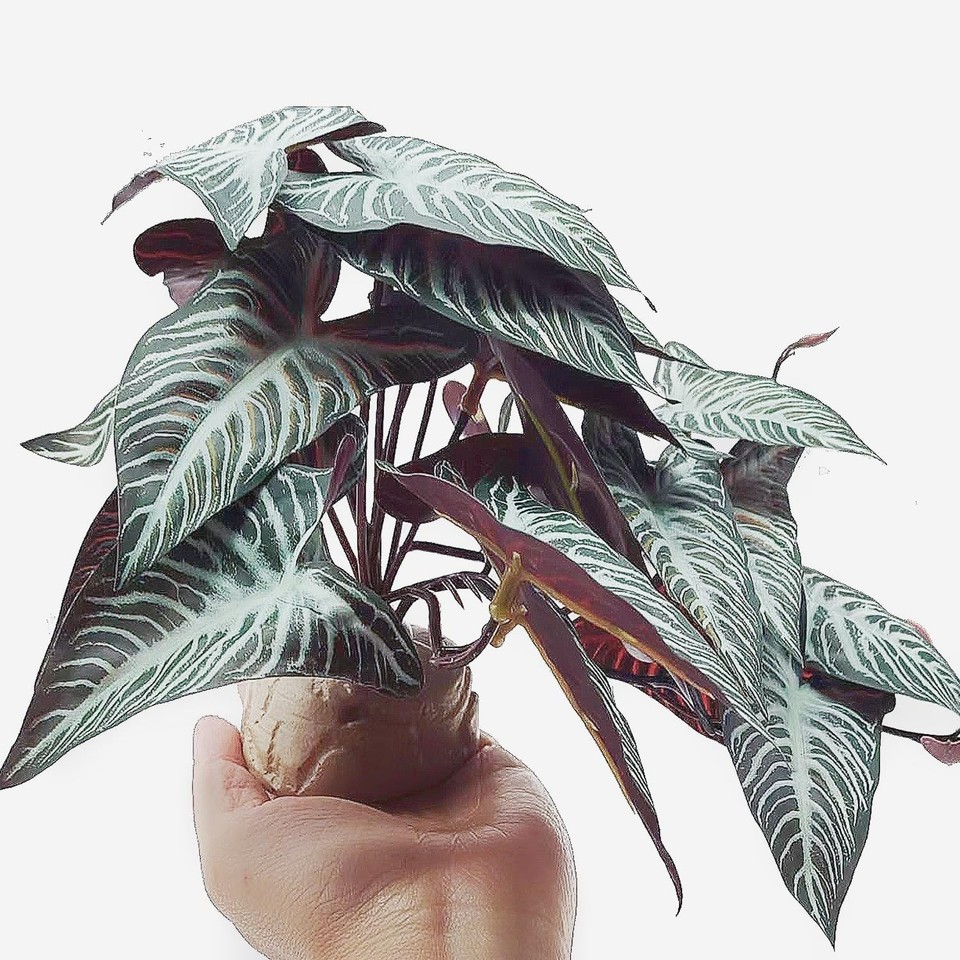 Reptile Plants,Terrarium Decor,Amphibian Habitat Decor,Artificial ...