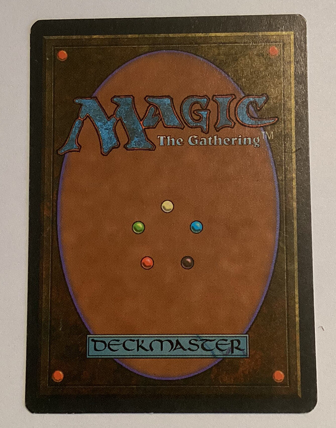 MTG Magic the Gathering Forest Land Christopher Rush Vtg Circa 1990s | eBay