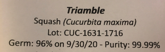 30 Triamble Pumpkin seeds; Australian heirloom; novelty; nonGMO good ...