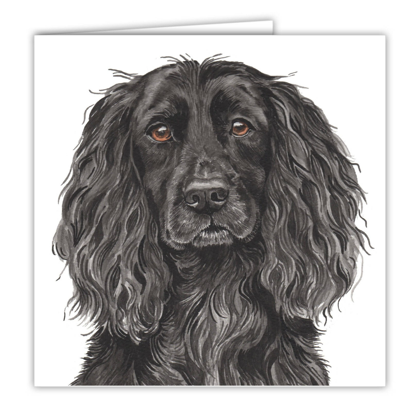 Working Cocker Spaniel greetings card dog blank card dogs Cockers ...