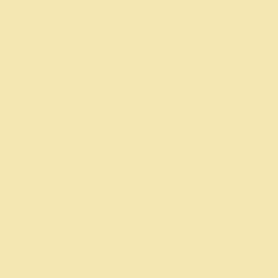 Tru-Color Butternut Yellow Automotive Color High-Gloss Acrylic Paints ...