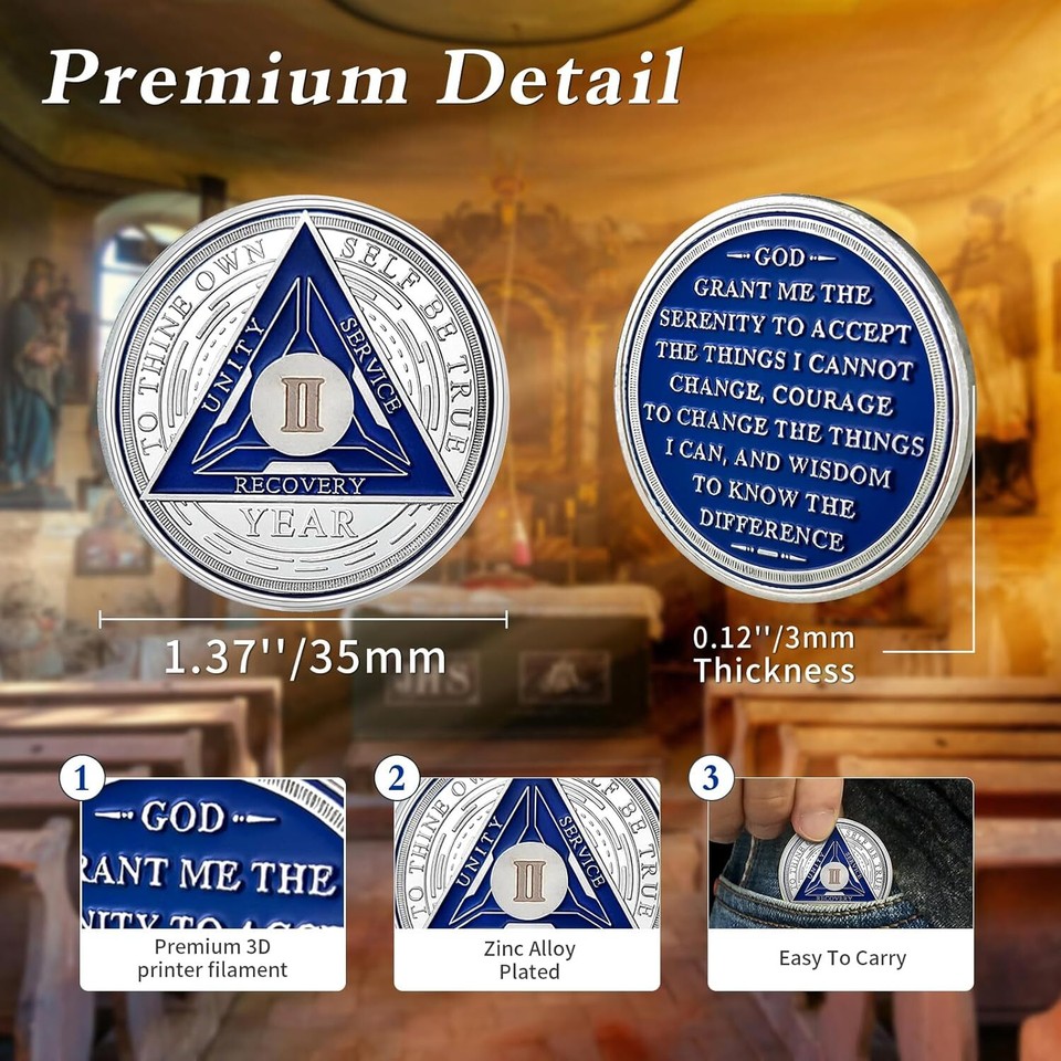 Recovery Triangle 2 Year Sobriety Coin Silver Roman Numeral NA AA Coin ...