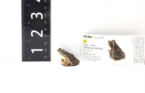 RARE RETIRED Kaiyodo Capsule Q Japan Exclusive Schlegel’s Tree Frog ...