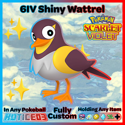 Shiny Wattrel 6IV Pokemon Scarlet & Violet 🚀 Fast 🚀 | eBay