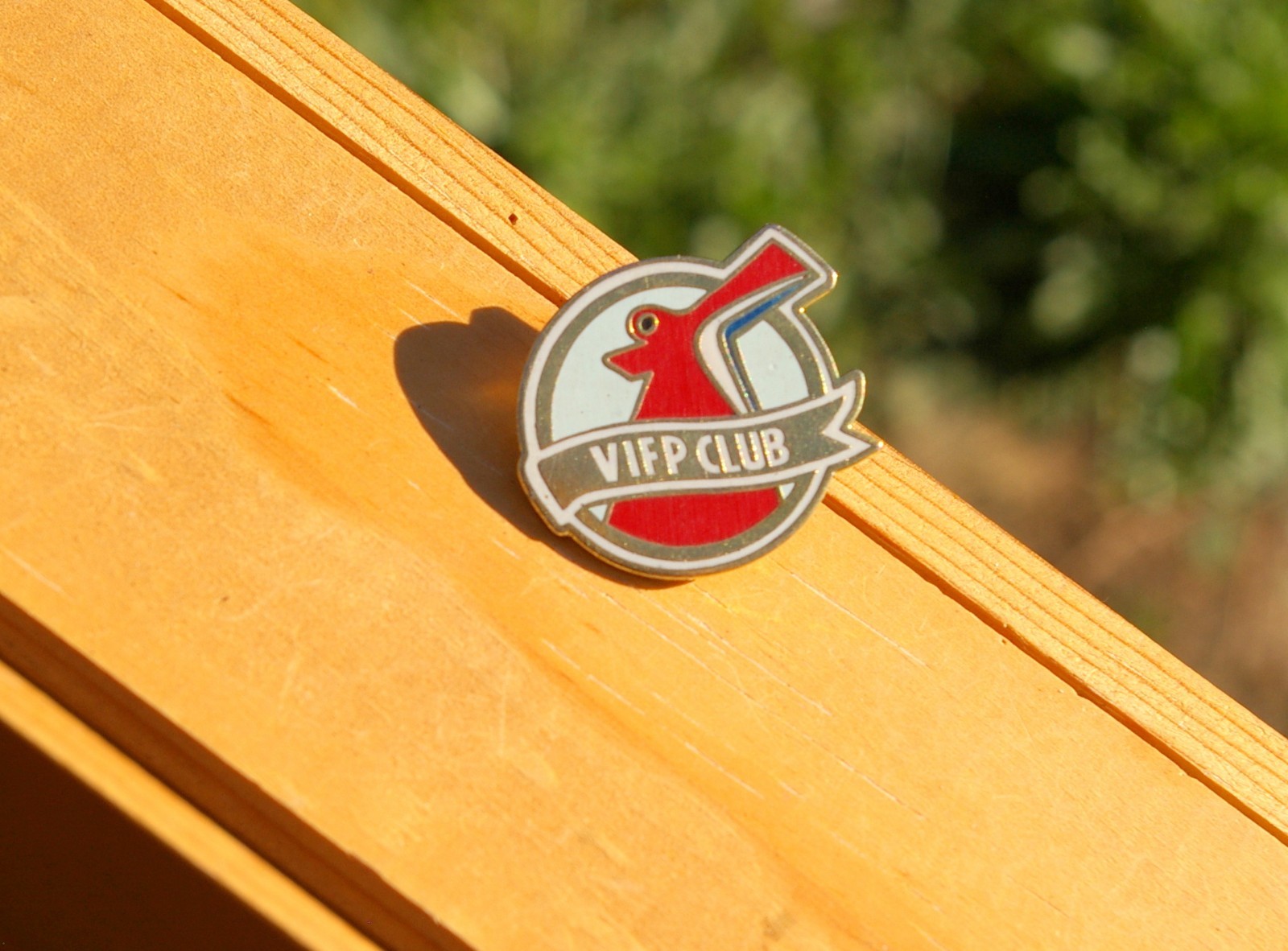 VIFP Club Carnival Cruise Line Metal & Enamel Lapel Pin Pinback | eBay