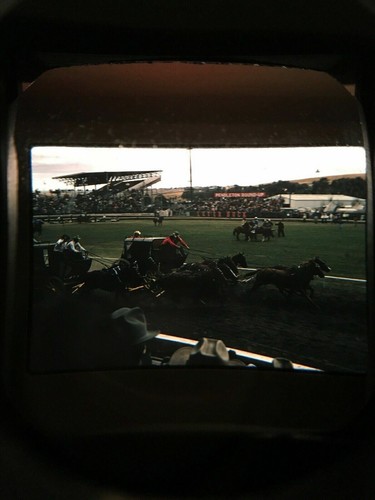 Pendleton Round Up Stagecoach Race Stadium Rodeo Lot of 2 Original 35mm ...