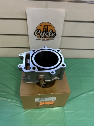 ARCTIC CAT ALTERRA 500 TRV ENGINE CYLINDER 0804-056 | eBay
