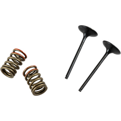 Prox Valve and Spring Kit | 28.SIS4341-2 | eBay
