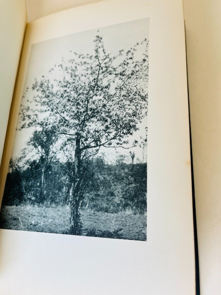 God's Calendar by William A. Quayle 1907 Jennings and Graham | eBay