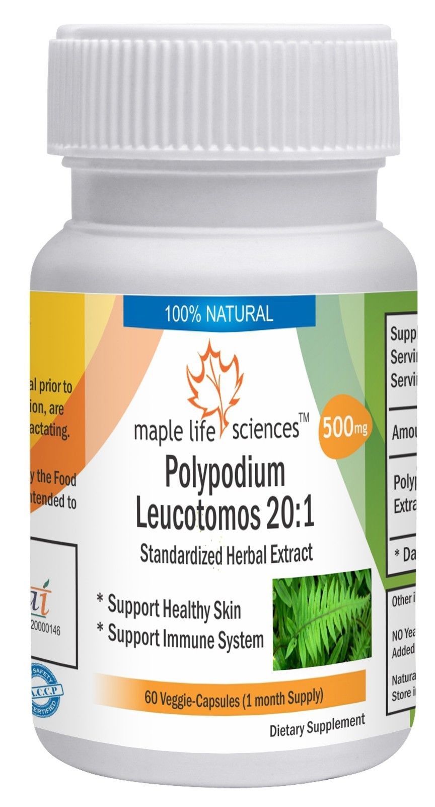 Polypodium Leucotomos 20:1 Extract Capsules (PLE) Pure & High Quality ...