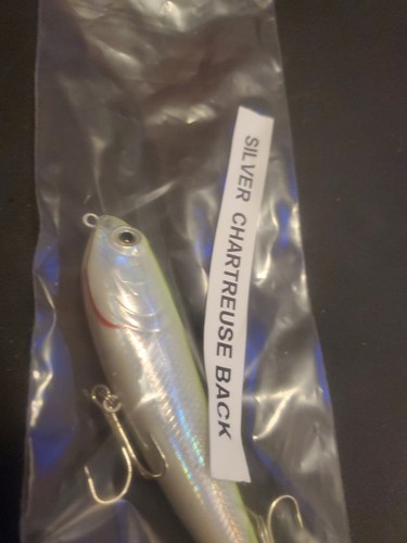 Pencil bait in silver /chartreuse back | eBay