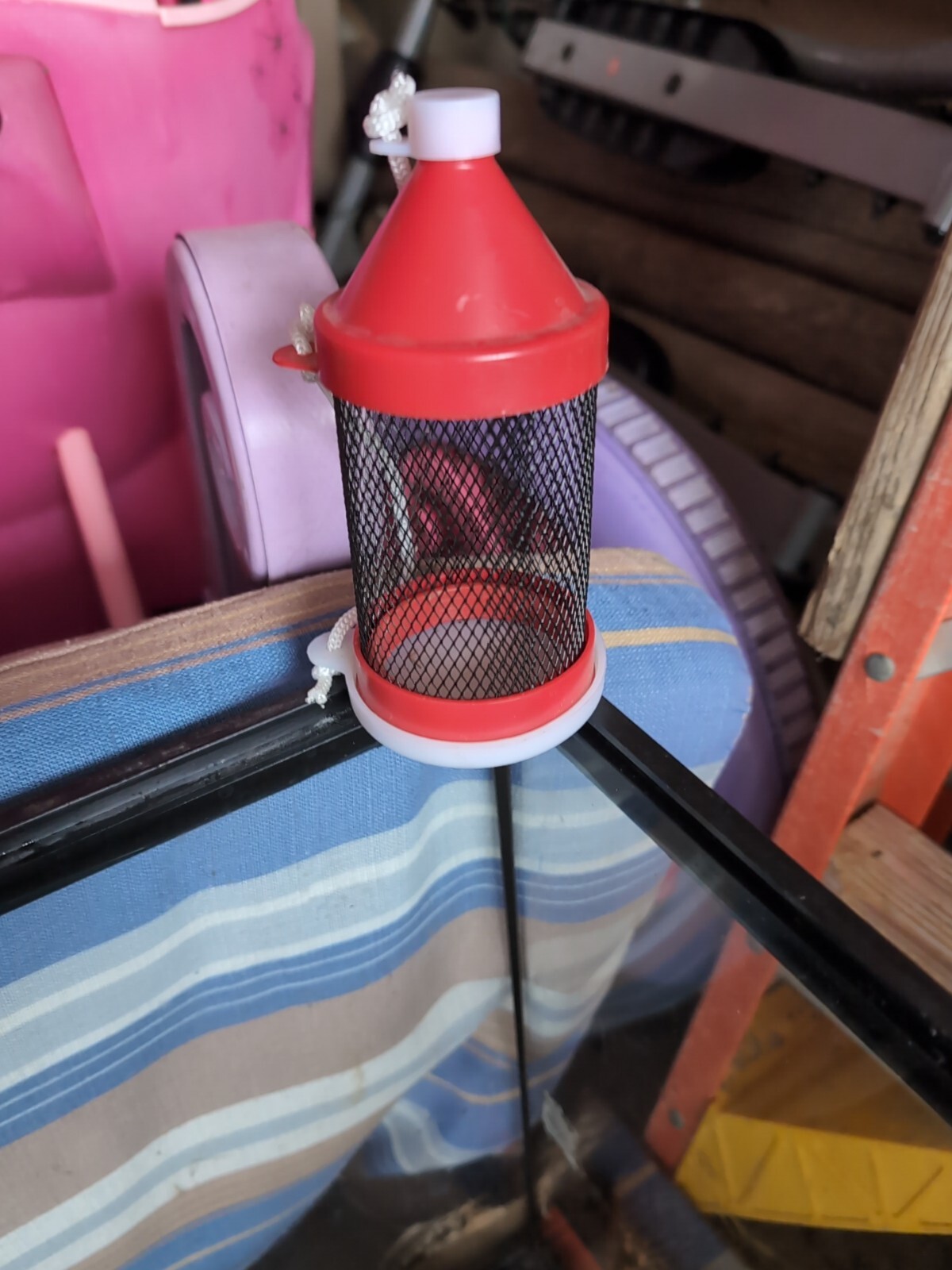 zoo med 40 gallon reptile tank | eBay