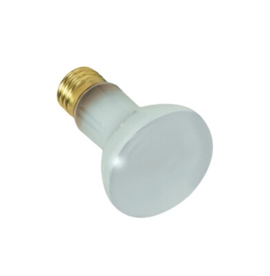 S7001 POOL LIGHT 130V =120V 100W R20 Flood Bulb Dimmable Frosted Medium ...