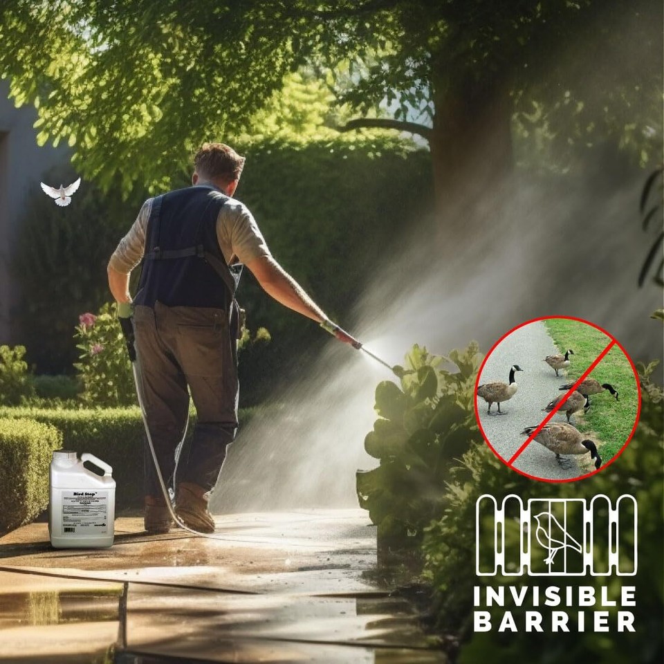 Bird-X Bird Stop Liquid Invisible and Effective Bird Removal Liquid ...