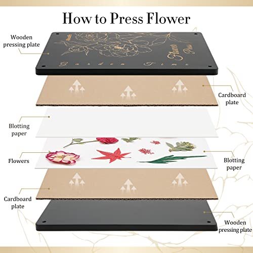 Extra Large Flower Press 13.4" X 8.7" 10 Layers Wooden Flower Pressing ...