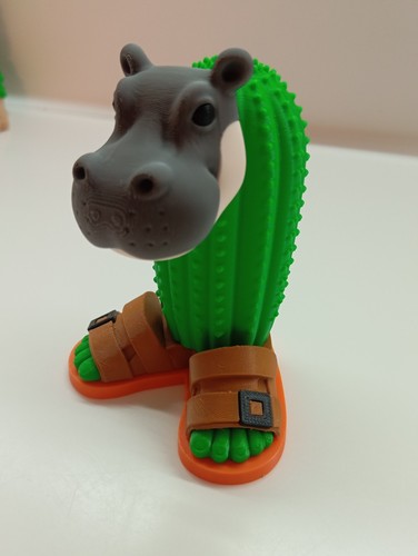 Brainrot Series: IL Cacto Hipopotamo Action toy | eBay Australia