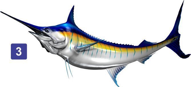Stripped Marlin Vinyl Sticker Fish Decals for Boat Car Vehicle Truck ...