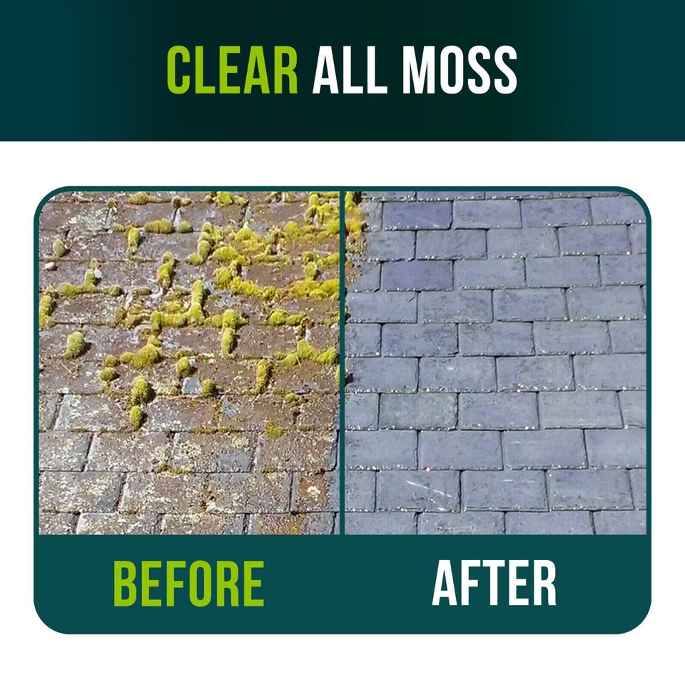 MOSS PATIO PATH CLEANER CONCENTRATE 10L HEAVY DUTY MOULD ALGAE LICHEN ...