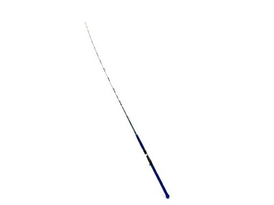 Conventional Rods - Sabre Fishing Rod
