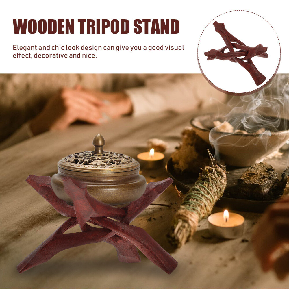 Egg Stands Base Plant Indoor Abalone Shell with Holder Display Shelf ...